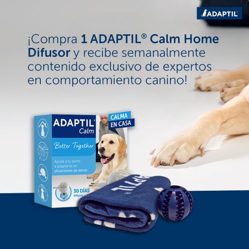 Únete al reto 30 Días en Calma con Adaptil • Ebavet - Etología clínica